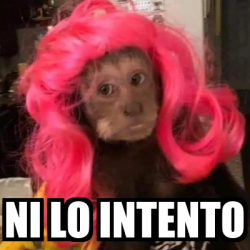 Meme Personalizado - ni lo intento - 33103742