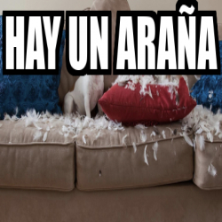 Meme Personalizado - Hay un araña - 33109510