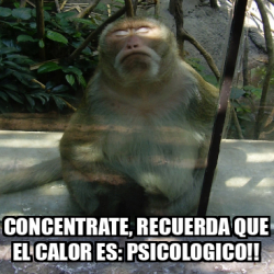 Meme Personalizado - CONCENTRATE, RECUERDA QUE EL CALOR ES: PSICOLOGICO ...
