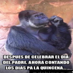 Meme Personalizado - Despues de celebrar el dia del.padre, ahora ...