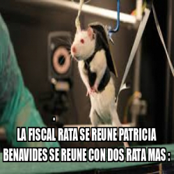 Meme Personalizado - . LA FISCAL RATA SE REUNE PATRICIA BENAVIDES SE ...