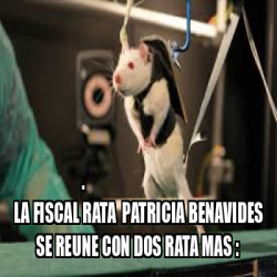 Meme Personalizado - . LA FISCAL RATA PATRICIA BENAVIDES SE REUNE CON ...