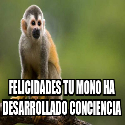 Meme Personalizado - FELICIDADES TU MONO HA DESARROLLADO CONCIENCIA ...