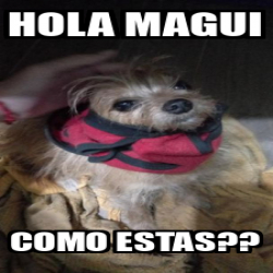 Meme Personalizado - HOLA MAGUI COMO ESTAS?? - 33115956