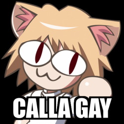 Meme Personalizado - Calla gay - 33116826