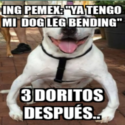 Meme Personalizado - iNG PEMEX: "Ya tengo mi dog leg bending" 3 doritos ...