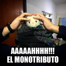 Meme Personalizado - Aaaaahhhh!!! El monotributo - 33117975