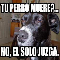 Meme Personalizado - Tu perro muere?... no, el solo juzga. - 33119595