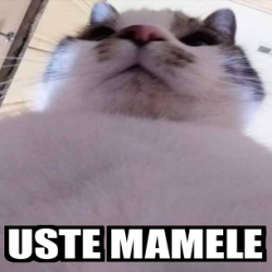 Meme Personalizado - Uste mamele - 33120211