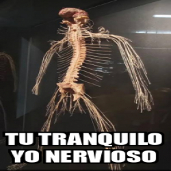 Meme Personalizado - TU TRANQUILO YO NERVIOSO - 33128854