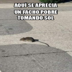 Meme Personalizado - Aquí se aprecia un facho pobre tomando sol - 33129465