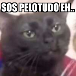 Meme Personalizado - Sos pelotudo eh.. - 33132384