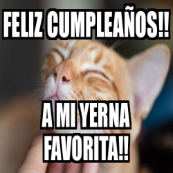 Meme Personalizado - Feliz Cumpleaños!! A mi yerna favorita!! - 33137231