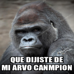 Meme Personalizado - Que dijiste de mi arvo canmpion - 33137621
