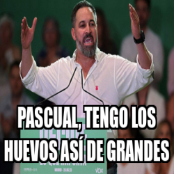 Meme Personalizado - Pascual, tengo los huevos así de grandes - 33139933