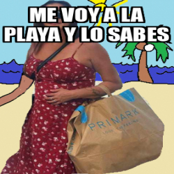 Meme Personalizado - me voy a la playa y lo sabes - 33142188