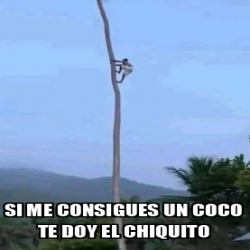 Meme Personalizado - Si me consigues un coco te doy el chiquito - 33142266