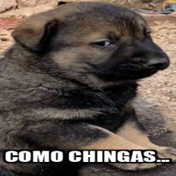 Meme Personalizado - Como chingas... - 33143203