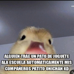Meme Personalizado - Alguien trae un pato de juguete ala escuela ...