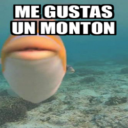Meme Personalizado - Me gustas un monton - 33157627