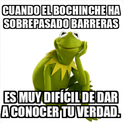 Meme Kermit the frog - Cuando el bochinche ha sobrepasado barreras Es ...