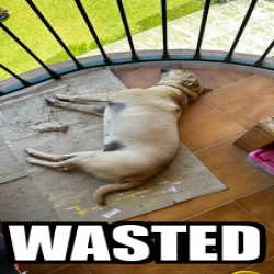 Meme Personalizado - Wasted - 33161865