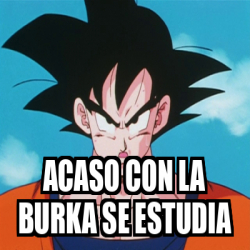 Meme Personalizado - acaso con la burka se estudia - 33164218