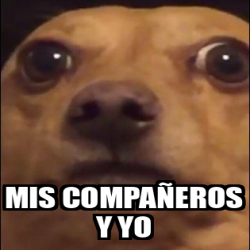 Meme Personalizado - mis compañeros y yo - 33169334
