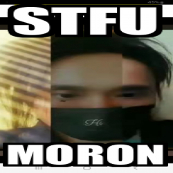 Meme Personalizado - Stfu Moron - 33170281