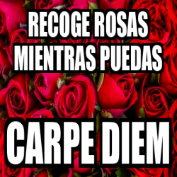 Meme Personalizado - Recoge rosas mientras puedas Carpe Diem - 33170709