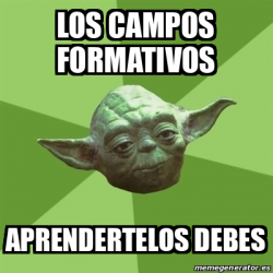 Meme Personalizado - LOS CAMPOS FORMATIVOS APRENDERTELOS DEBES - 33174064