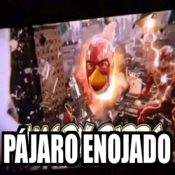 Meme Personalizado - Pájaro enojado - 33174865