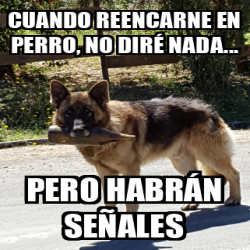 Meme Personalizado - Cuando reencarne en perro, no diré nada... Pero ...