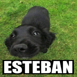 Meme Personalizado - Esteban - 33175561