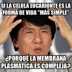 Meme Jackie Chan - si la celula eucarionte es la forma de vida "más ...