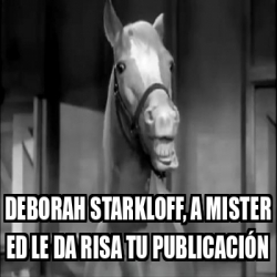 Meme Personalizado - Deborah starkloff, A mister ed le da risa tu ...