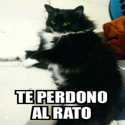 Meme Personalizado - Te perdono al rato - 33179282