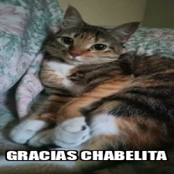 Meme Personalizado - Gracias chabelita - 33179290