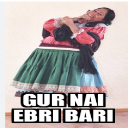 Meme Personalizado - GUR NAI EBRI BARI - 33180462