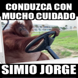 Meme Personalizado - Conduzca con mucho cuidado Simio Jorge - 33180685