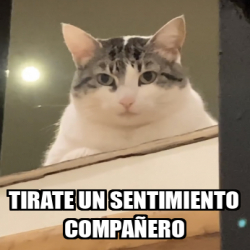 Meme Personalizado - tirate un sentimiento compañero - 33182788