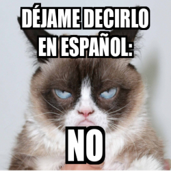 Meme Personalizado - dÉJAME DECIRLO EN ESPAÑOL: NO - 33183033