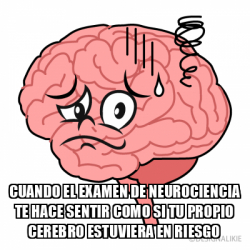 Meme Personalizado - Cuando el examen de neurociencia te hace sentir ...
