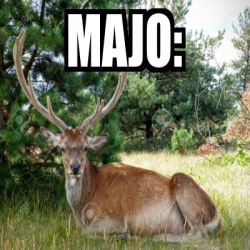 Meme Personalizado - majo: - 33184529