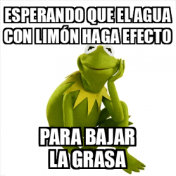 Meme Kermit the frog - esPERANDO QUE EL AGUA CON LIMÓN HAGA EFECTO para ...