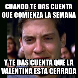 Meme crying peter parker - Cuando te das cuenta que comienza la semana ...