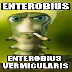 Meme Personalizado - Enterobius Enterobius vermicularis - 33190079