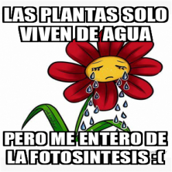 Meme Personalizado - las plantas solo viven de agua pero me entero de ...