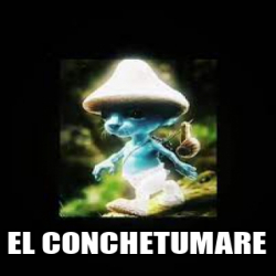 Meme Personalizado - EL CONCHETUMARE - 33196943