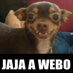 Meme Personalizado - Jaja a webo - 33197735